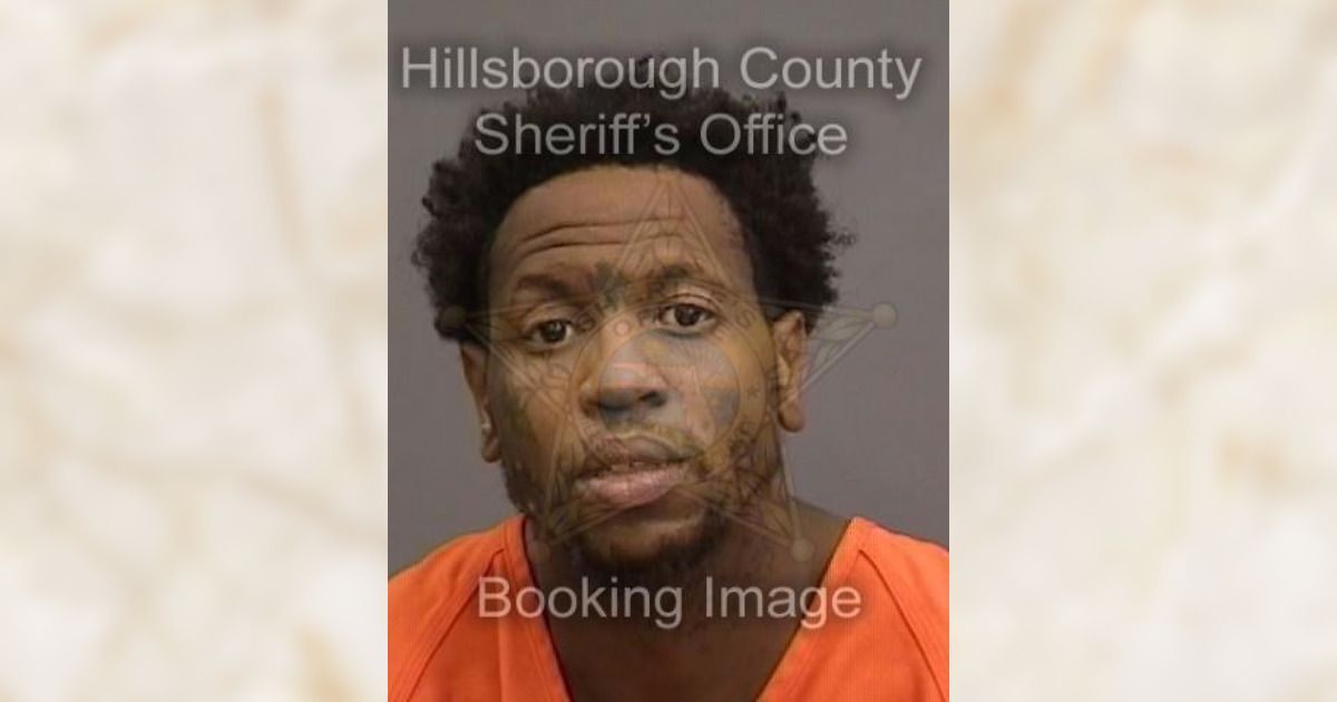 Florida Man Jumps Into Tampa Bay To Escape Cops Caught By Helicopter